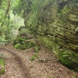 Pinnacle Overlook Trail, Kentucky - 196 Reviews, Map | AllTrails