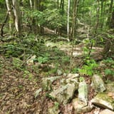 Pinnacle Overlook Trail, Kentucky - 196 Reviews, Map | AllTrails