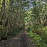 Japanese Gulch Loop Trail, Washington - 1,265 Reviews, Map | AllTrails