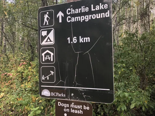 Best Hikes and Trails in Charlie Lake Provincial Park | AllTrails