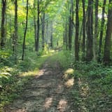 Bloodroot Trail, Indiana - 556 Reviews, Map | AllTrails