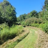 Bloodroot Trail, Indiana - 615 Reviews, Map | AllTrails