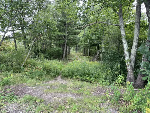 Best Walking Trails in Methuen | AllTrails