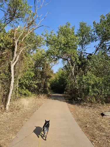 Best Hikes and Trails in Lucy Park | AllTrails