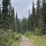 Wind Ridge Trail, Alberta, Canada - 1,138 Reviews, Map | AllTrails