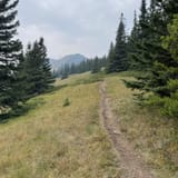 Wind Ridge Trail, Alberta, Canada - 1,138 Reviews, Map | AllTrails