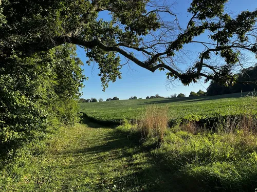 Best Kid Friendly Trails in Laytonsville | AllTrails