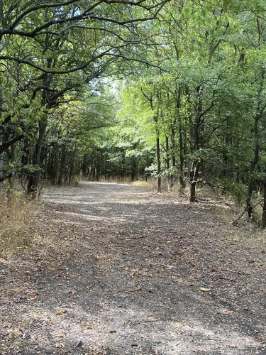 Best Hikes and Trails in Hidden Cove Park | AllTrails