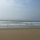 Kehoe Beach Trail, California - 337 Reviews, Map | AllTrails