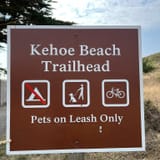Kehoe Beach Trail, California - 337 Reviews, Map | AllTrails