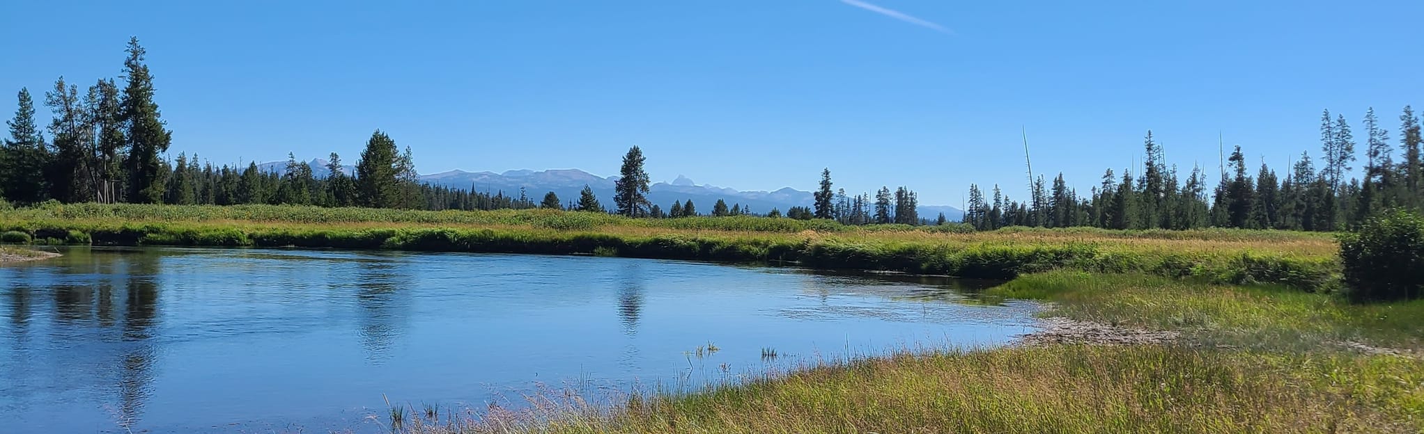 Bechler River Trail: 21 Reviews, Map - Idaho | AllTrails