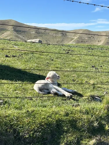 Best Hikes and Trails in Wither Hills Farm Park | AllTrails