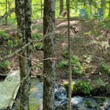 Cherry Mountain Trail, New Hampshire - 330 Reviews, Map | AllTrails