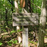 Cherry Mountain Trail, New Hampshire - 330 Reviews, Map | AllTrails