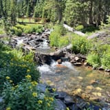 Mitchell Lake Trail, Colorado - 553 Reviews, Map | AllTrails