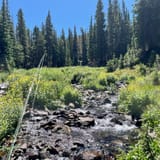 Mitchell Lake Trail, Colorado - 553 Reviews, Map | AllTrails