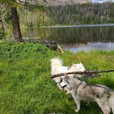 Haystack Lake Trail, Utah - 107 Reviews, Map | AllTrails