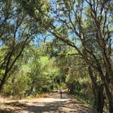 Stream, East Ridge, and Canyon Loop, California - 1,679 Reviews, Map ...