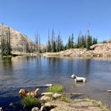 Clyde Lake Loop, Utah - 1,457 Reviews, Map | AllTrails