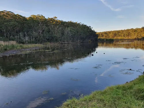 Best Hikes and Trails in Georges River National Park | AllTrails