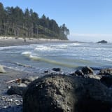 Ruby Beach, Washington - 1,348 Reviews, Map | AllTrails