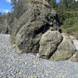 Ruby Beach, Washington - 1,348 Reviews, Map | AllTrails