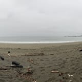 Keeha Beach via Cape Beale-Keeha Trailhead, British Columbia, Canada ...
