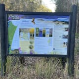 Cooloola Great Walk: Segment 1, Queensland, Australia - 156 Reviews ...