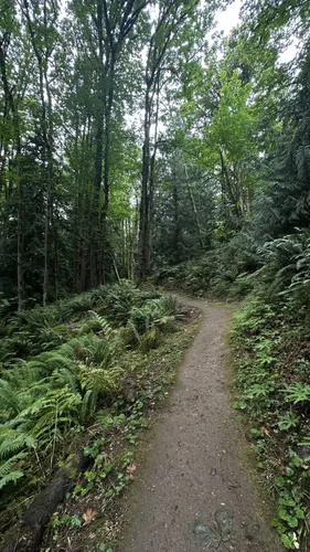 2023 Best 10 Trails and Hikes in Issaquah | AllTrails