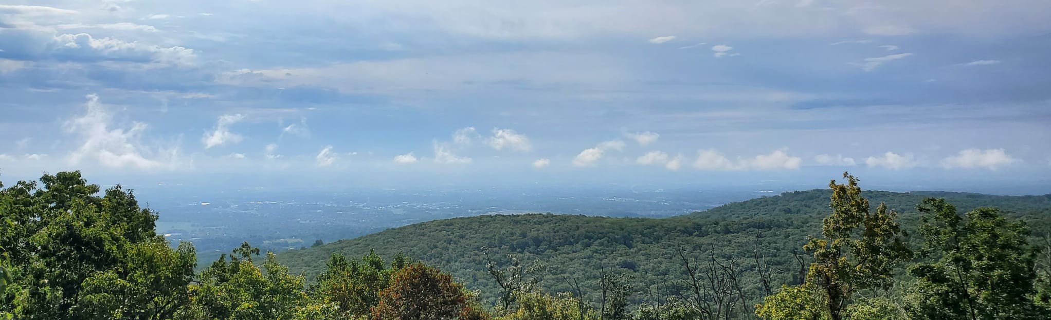 Gambrill State Park Loop: 469 Reviews, Map - Maryland | AllTrails