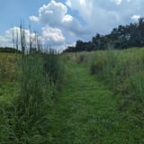 Turkey Hill Trail, Pennsylvania - 1,583 Reviews, Map | AllTrails