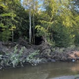 The Long Trail, Vermont - 195 Reviews, Map | AllTrails