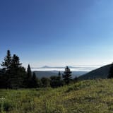 The Long Trail, Vermont - 195 Reviews, Map | AllTrails