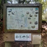 Anglezarke Reservoir and White Coppice Circular, Greater Manchester ...