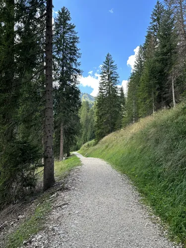 2023 Best Walking Trails in Predazzo | AllTrails