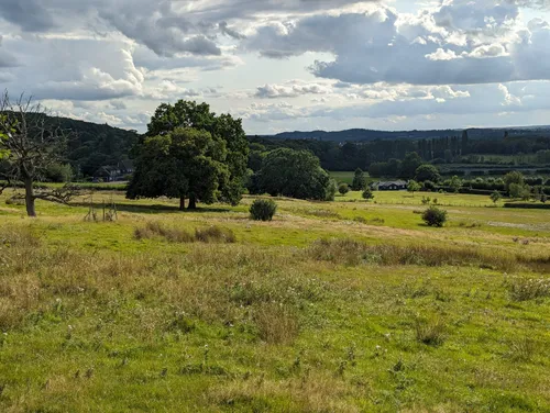 Best Hikes and Trails in Blean Woods Nature Reserve | AllTrails