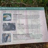 Lost '40' Trail, Minnesota - 182 Reviews, Map | AllTrails