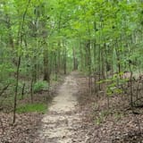 Pickwick Island Loop Trail, Tennessee - 228 Reviews, Map | AllTrails