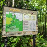 Angelito Trail, East Region, Puerto Rico - 527 Reviews, Map | AllTrails