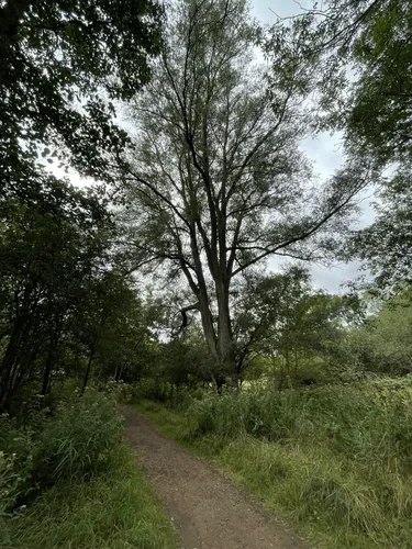 Best Hikes and Trails in Fowlmere Nature Reserve | AllTrails