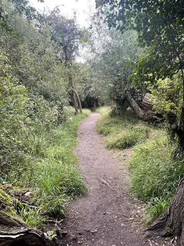 Best Hikes and Trails in Fowlmere Nature Reserve | AllTrails