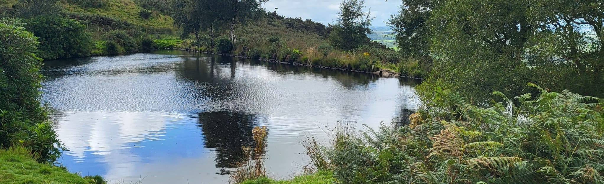 Nicky Nook and Barnacre Moor Circular: 8 Reviews, Map - Lancashire ...