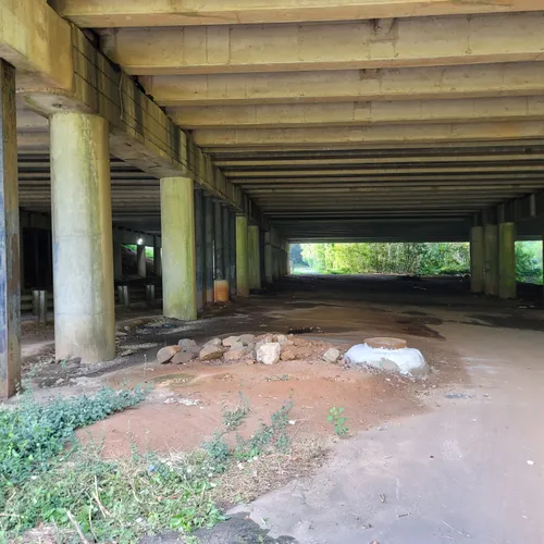 Best 10 Hikes and Trails in Conestee Nature Preserve | AllTrails