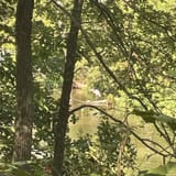 Lake Thom-a-Lex Nature Trail, North Carolina - 264 Reviews, Map | AllTrails