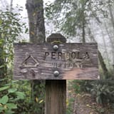 Big Tree Ridge Trail, Washington - 481 Reviews, Map | AllTrails