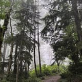 Big Tree Ridge Trail, Washington - 481 Reviews, Map | AllTrails