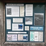 Big Tree Ridge Trail, Washington - 481 Reviews, Map | AllTrails