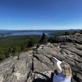 Brook Trail, New Hampshire - 1,194 Reviews, Map | AllTrails