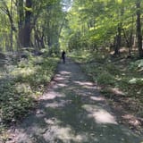 Cascade Falls Loop Trail, Massachusetts - 771 Reviews, Map | AllTrails