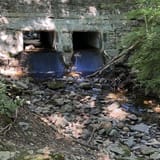 Cascade Falls Loop Trail, Massachusetts - 771 Reviews, Map | AllTrails